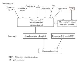 Hyperemesis Gravidarum - Investigations - Antiemetics - TeachMeObGyn