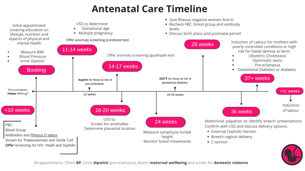 Antenatal Care TeachMeObGyn